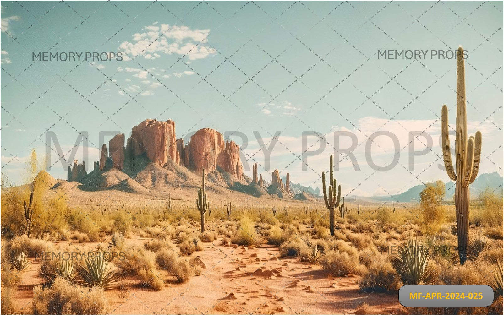 ARIZONA DESERT LANDSCAPE - BABY PRINTED BACKDROPS – MEMORY P-DROPS
